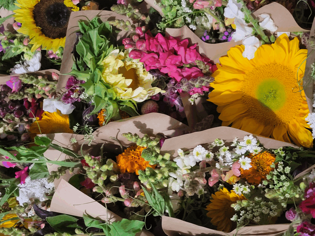 Luxury Blooms for Everyone - Marvellous Edibles Farm
